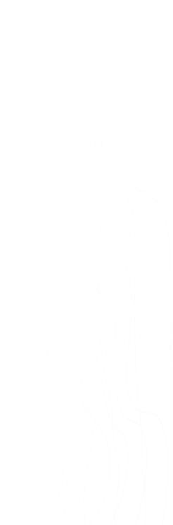 MESMER Bank Portal
